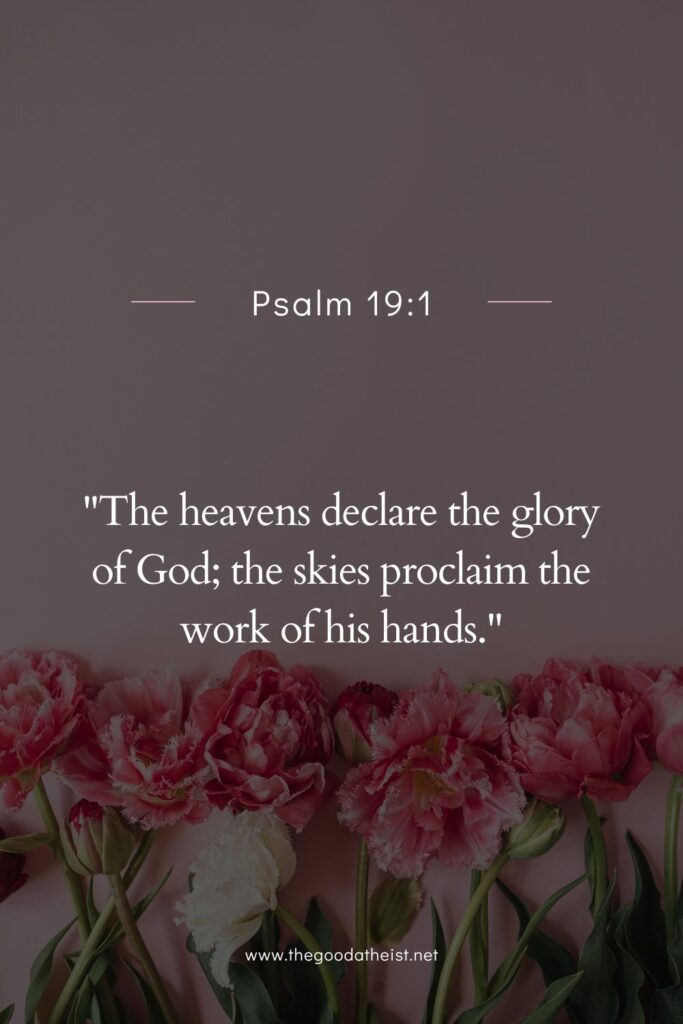 18 Beautiful Bible Verses About Beauty That Will Change How You See ...