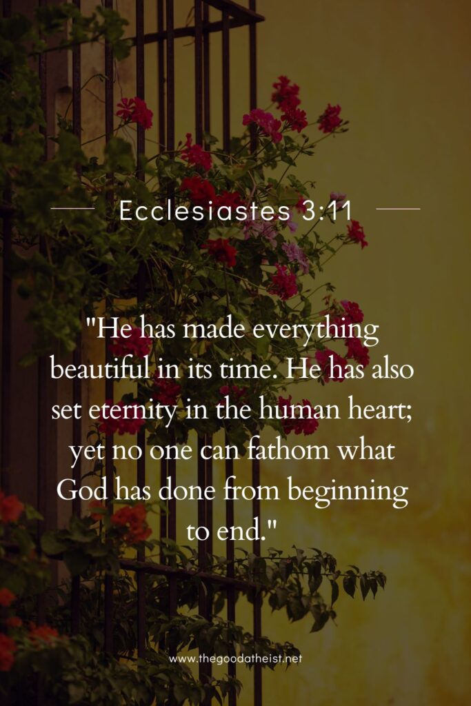 18 Beautiful Bible Verses About Beauty That Will Change How You See ...