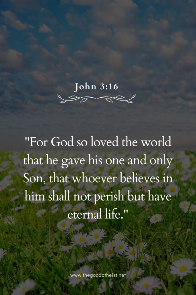 22 Profound Bible Verses About Life You NEED To See!