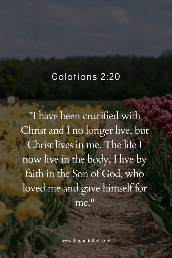 22 Profound Bible Verses About Life You NEED To See!