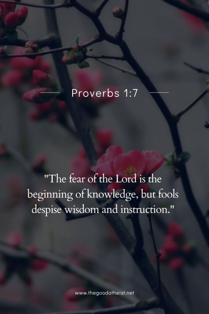 19 Bible Verses For School Success & Inspiration