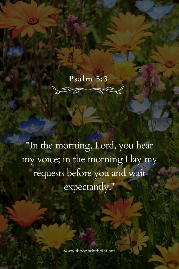 15+ Bible Verses About A New Day & Fresh Beginnings