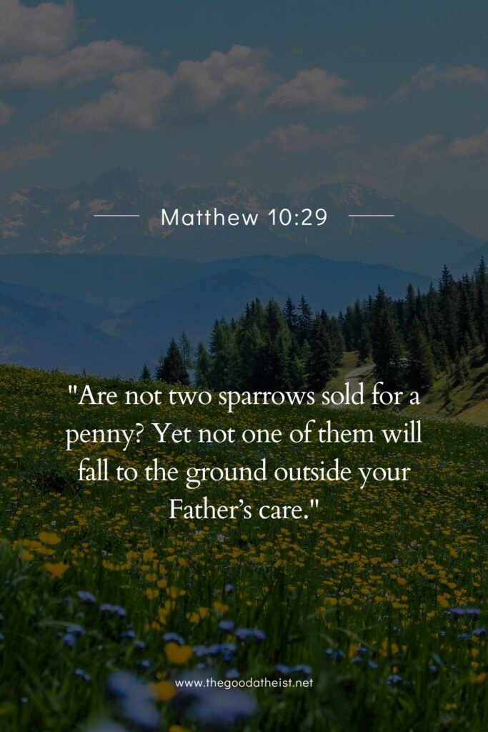 18 Bible Verses About Animals That Will Inspire You