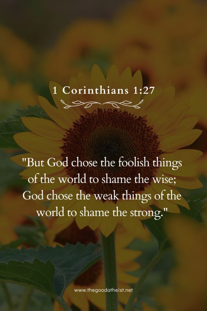 10 Quirky Bible Verses That Pair with July’s Most Unique National ...