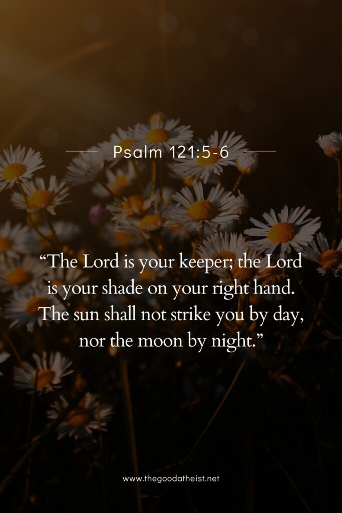 16 Comforting Bible Verses to Get Through the Summer Heat