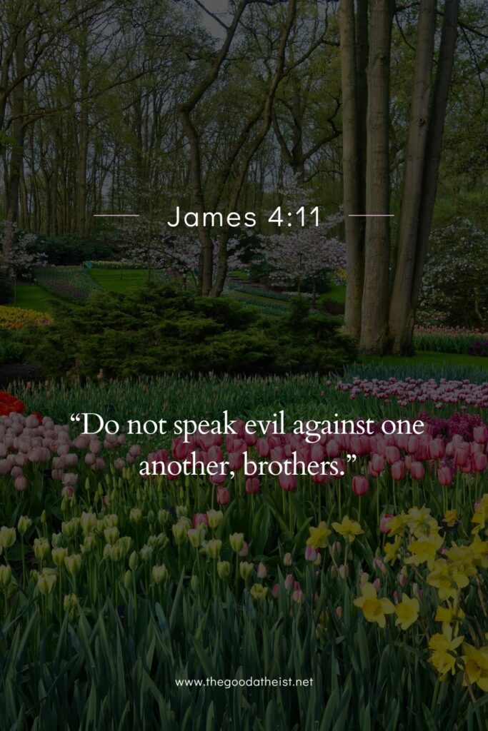 17 Bible Verse for Judging You Need to Know Before Making Any Decision